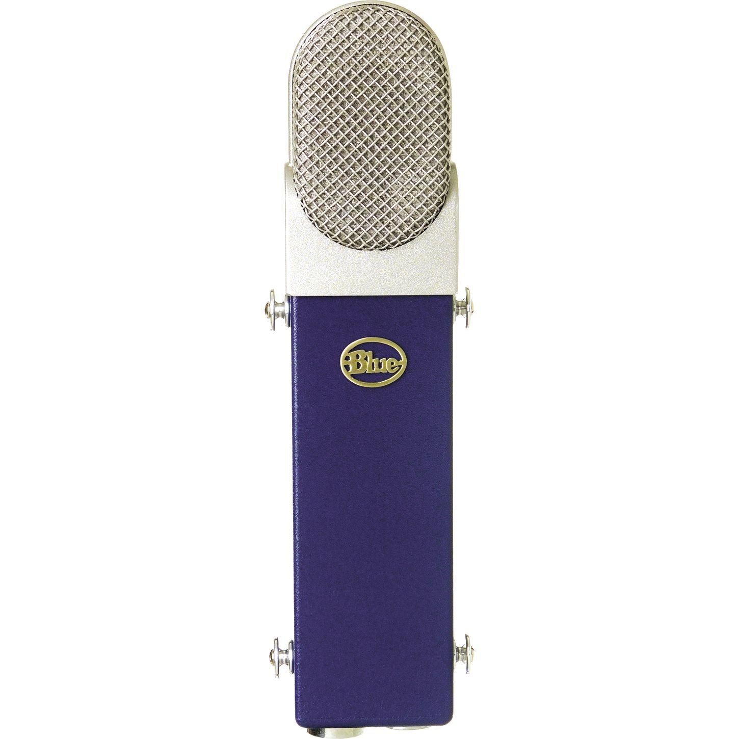 Blue Dragonfly Mic